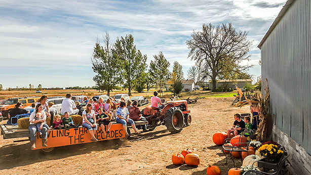 Celebrate Fall with the Pumpkin Ranch | Aberdeen Magazine