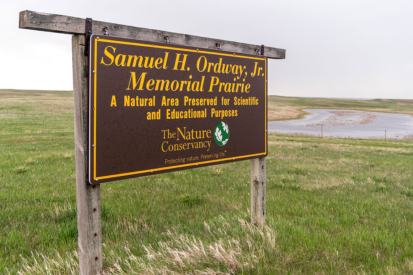 A Sea of Grass & Sky | Aberdeen Magazine