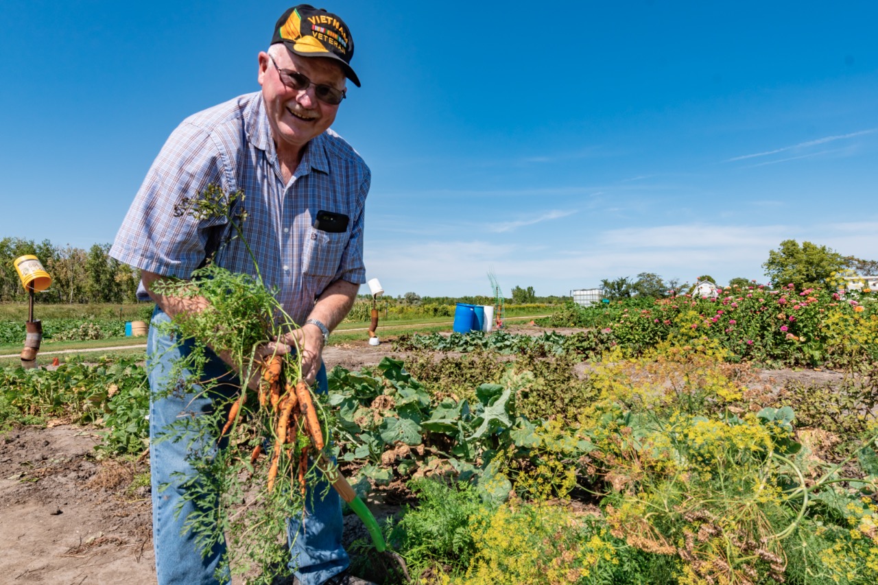 Growing Connections: Community Gardens | Aberdeen Magazine