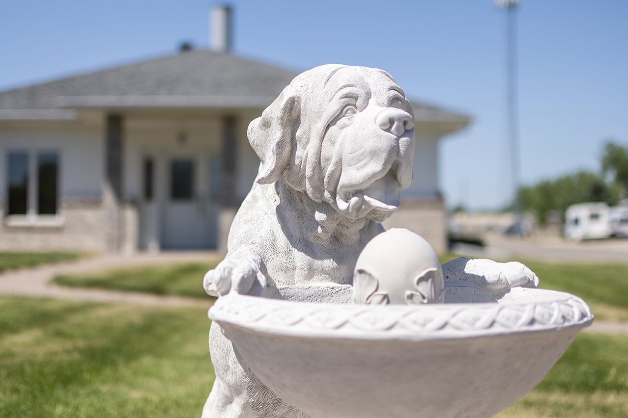 Remembering a Beloved Pet | Aberdeen Magazine