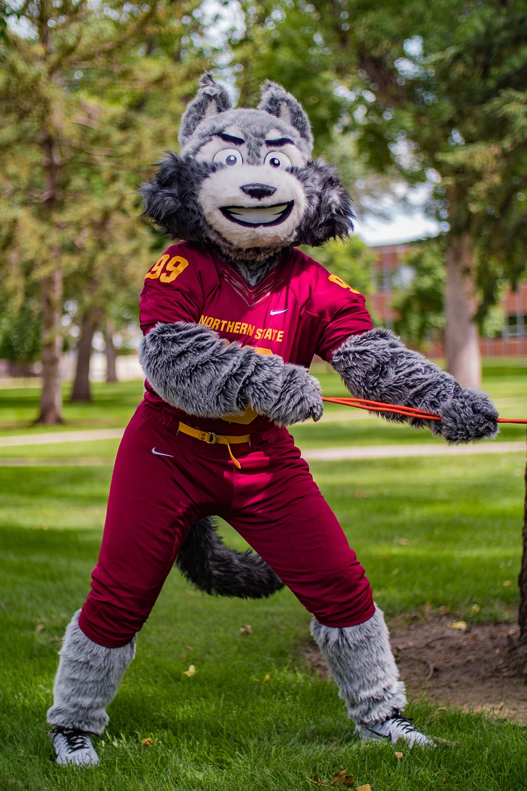 Profiles of Aberdeen: Mascot Mania | Aberdeen Magazine