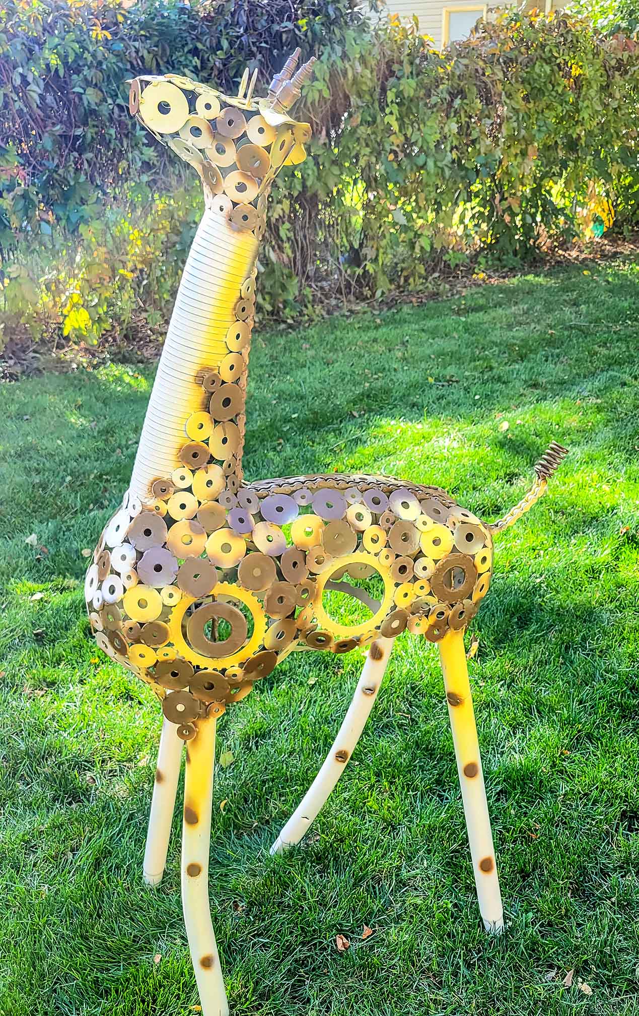 Artist Spotlight: Kelly Glaser | Aberdeen Magazine