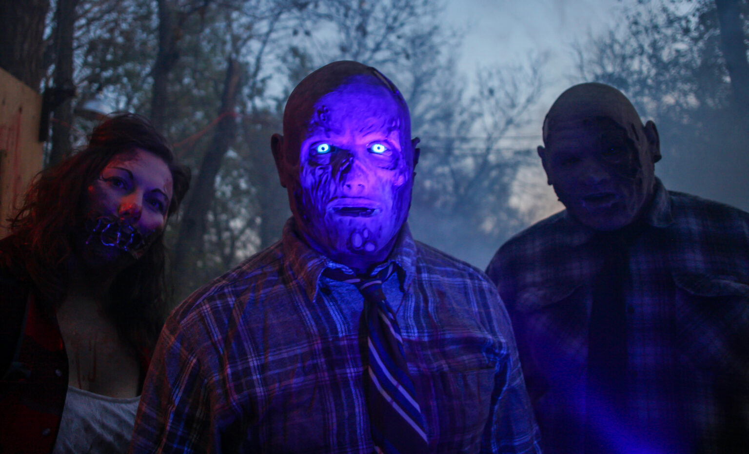 Aberdeen's Haunted Forest: Hiding in the Trees since 1983 | Aberdeen ...