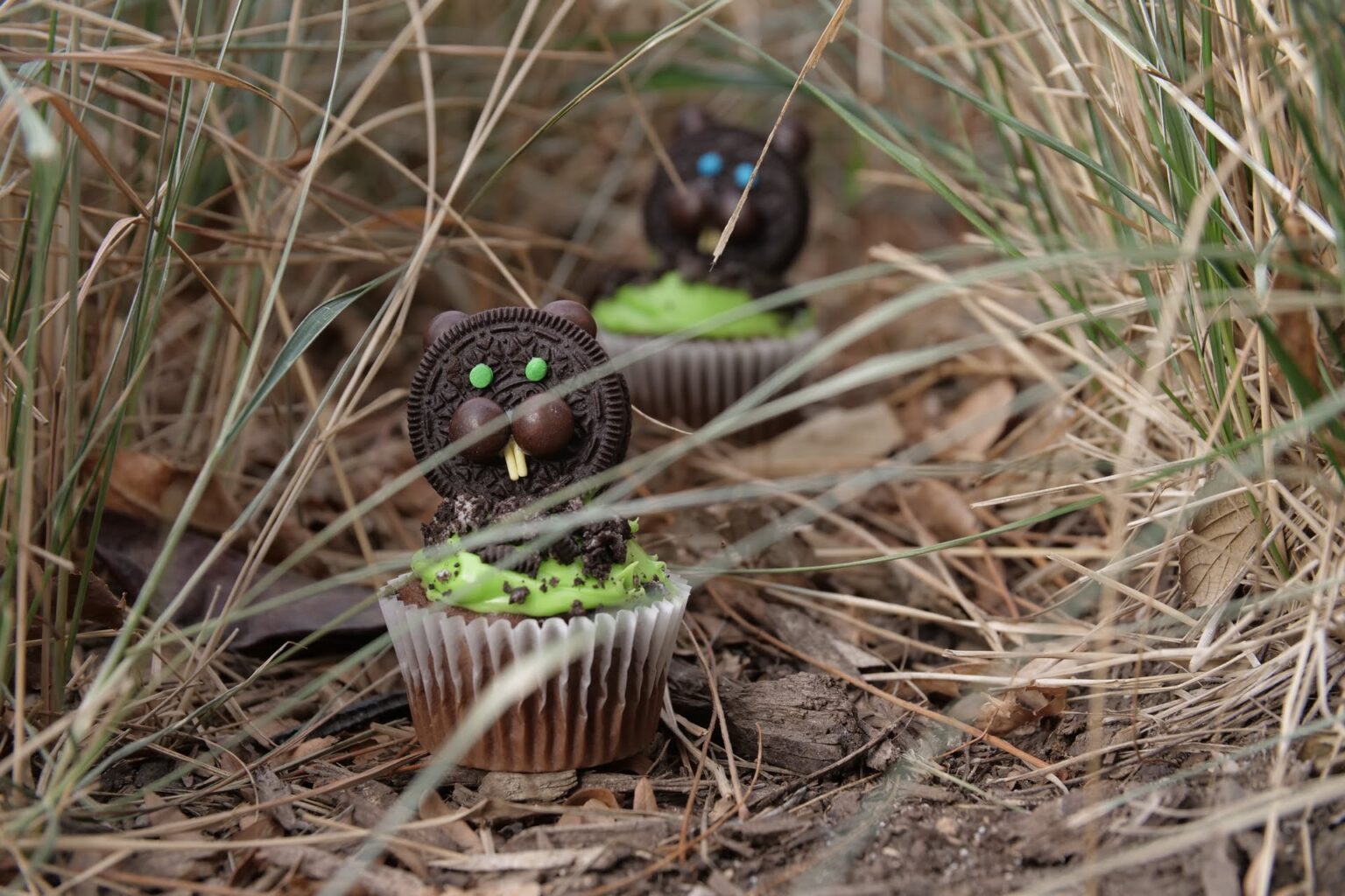 Recipe: Groundhog’s Day Treats | Aberdeen Magazine